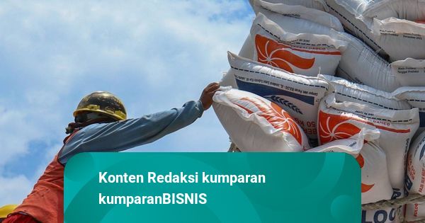 Harga Beras sampai Daging Ayam Naik Jadi Biang Kerok Inflasi Februari 2024 | kumparan.com